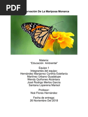 Hoja De Trabajo Sobre El Ciclo De Vida De La Mariposa Monarca PDF)