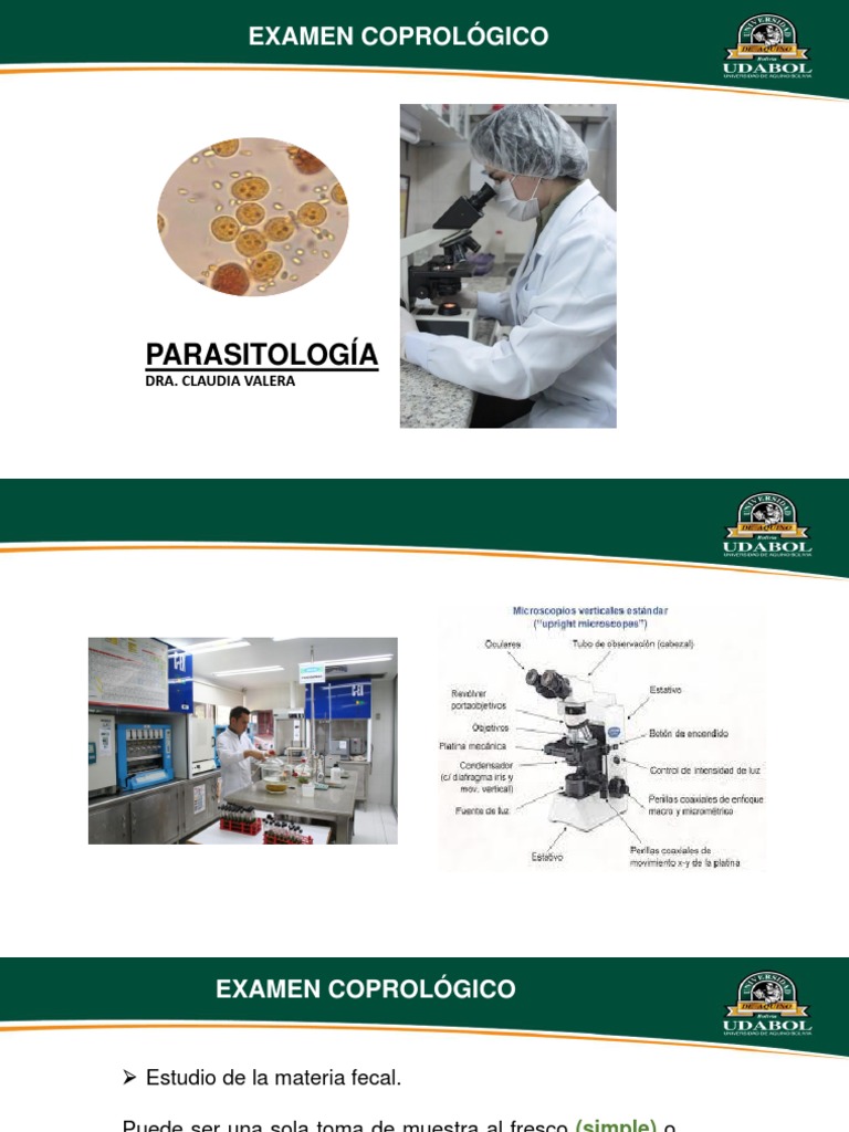 Coprologico | PDF | Las bacterias | Heces