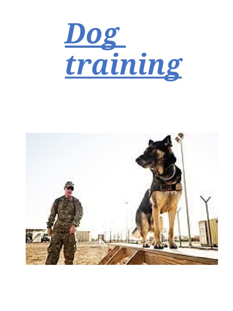 Dog Training | PDF | Dog Training | Reinforcement