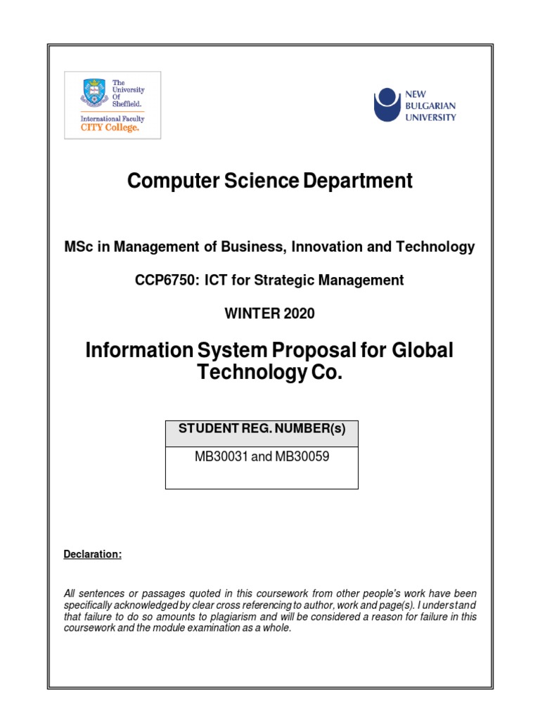 Information System Proposal For Global Technology Co. | PDF | Customer ...