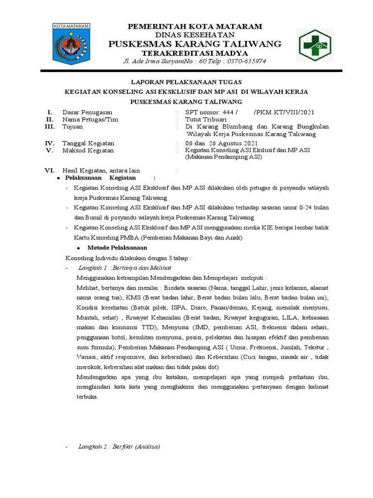 Laporan Kegiatan Konseling Ae Dan MP Asi | PDF