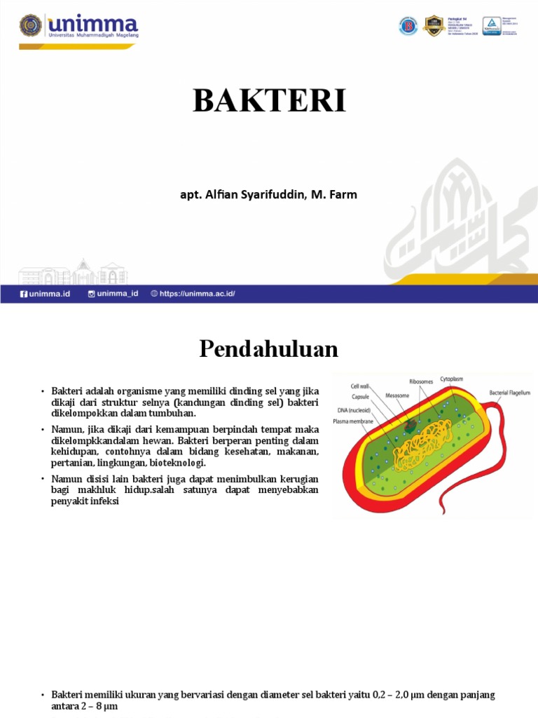 Pertemuan 3-Bakteri | PDF