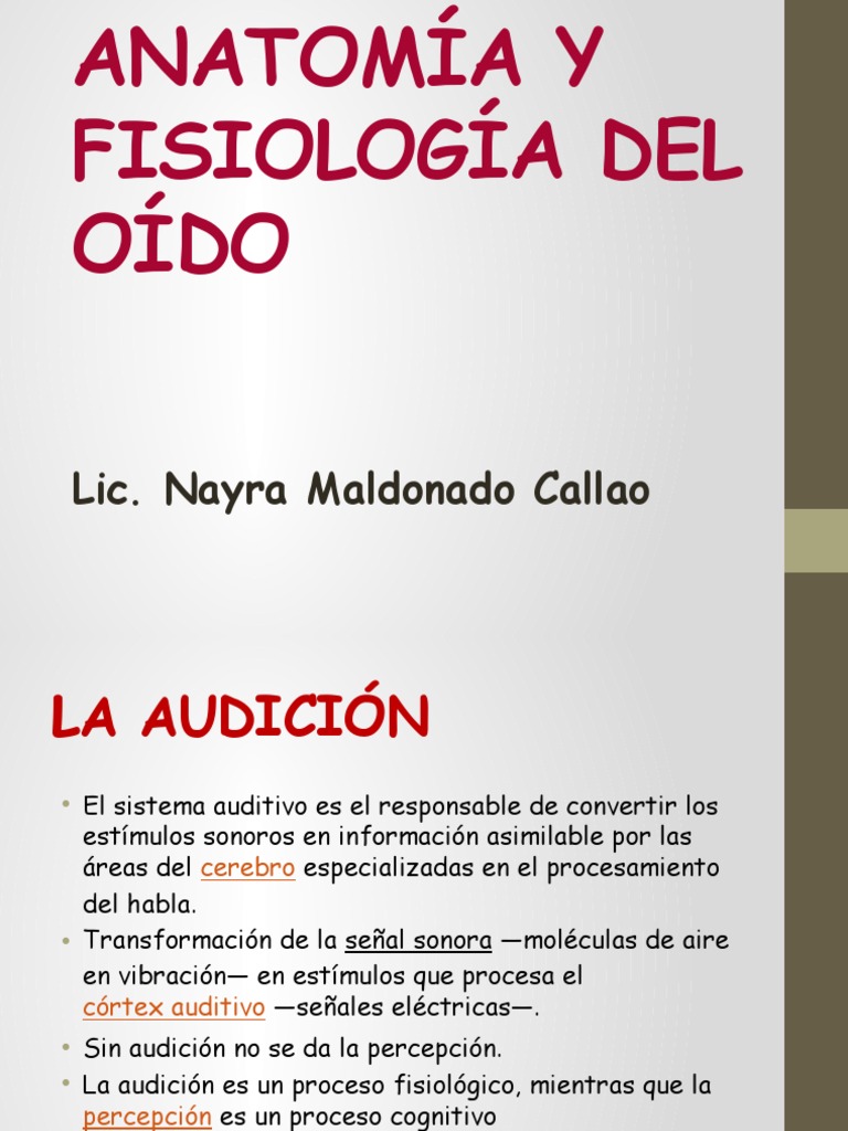 Anatomia de La Audicion | PDF