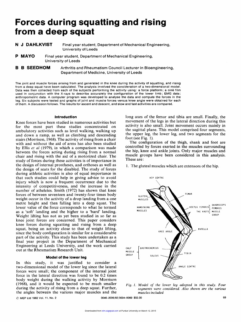 Forces During Squatting and Rising From A Deep Squat: Seedhom | PDF ...