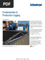 Production Logging (PLT) | PDF | Flow Measurement | Applied And ...