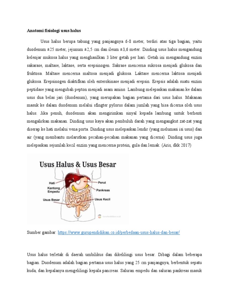 Struktur Dinding Usus Halus dan Fungsinya | PDF | Sains & Matematika