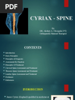 Butler Neural Mobilization Techniques | PDF | Nervous System | Nerve