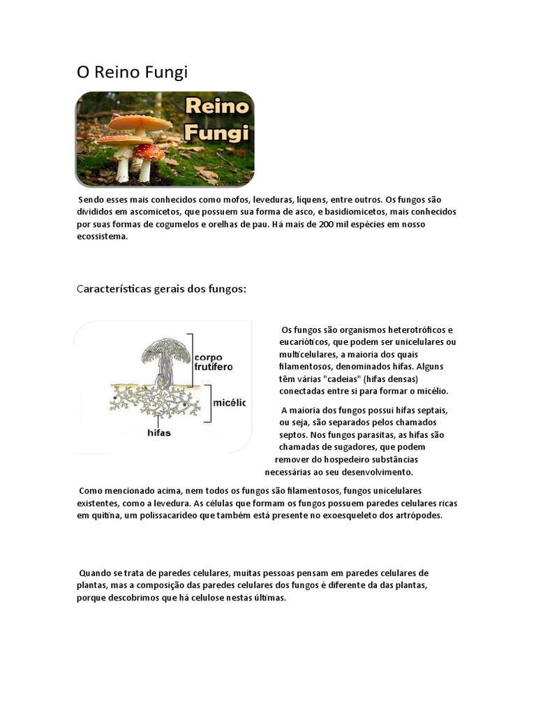 Reino Fungi Aula | PDF | Fungo | Plantas