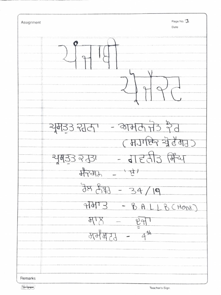 Punjabi Project Sem-4 | PDF