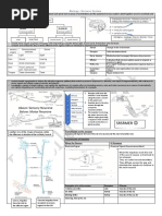 Brain Bee Study Questions | PDF | Stimulus (Physiology) | Neurotransmitter