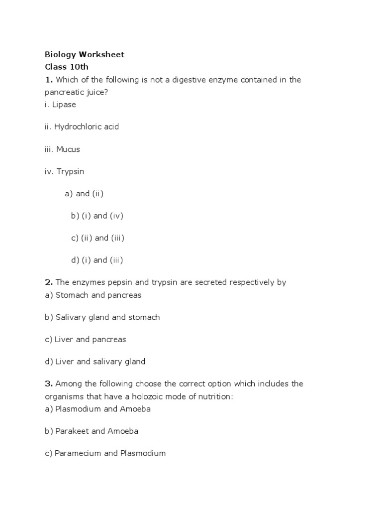Class 10 Biology Worksheet on Life Processes | PDF | Blood | Vein