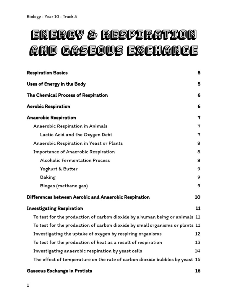 Energy, Respiration, and Gas Exchange | PDF | Lung | Respiratory System