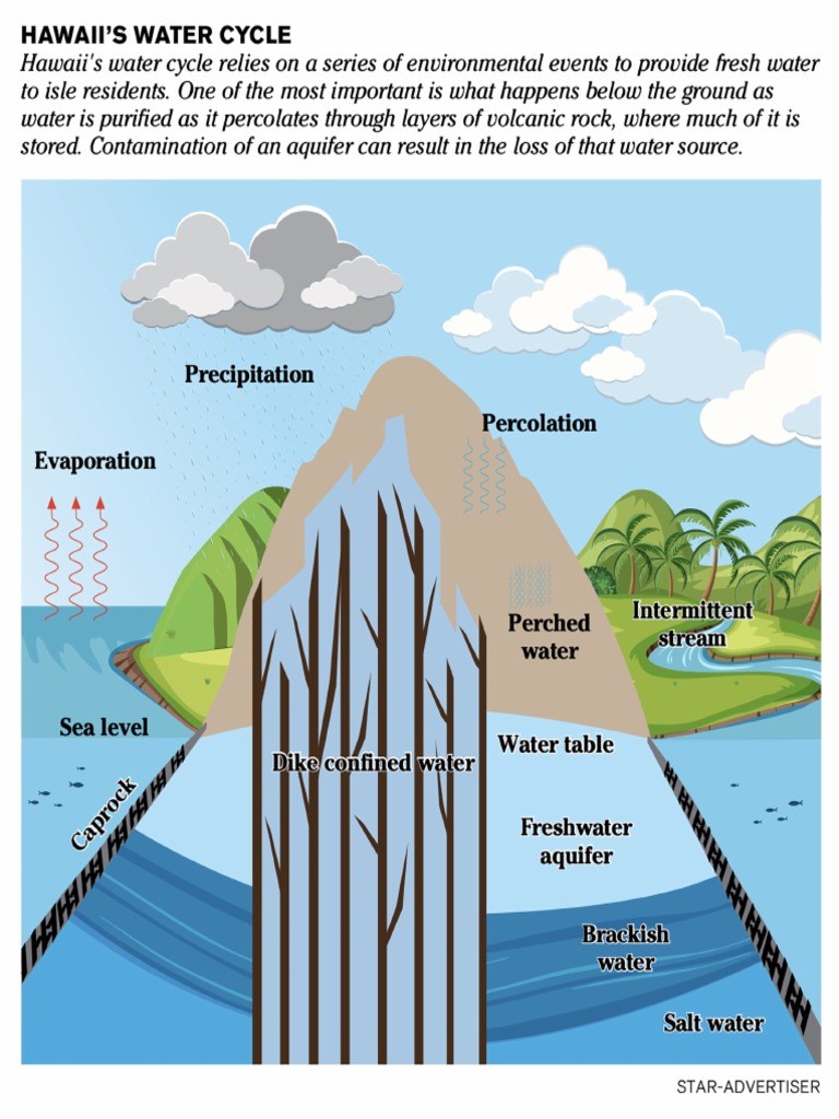 Hawaii's Water Cycle | PDF