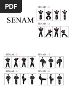 Senam Toya PSHT | PDF