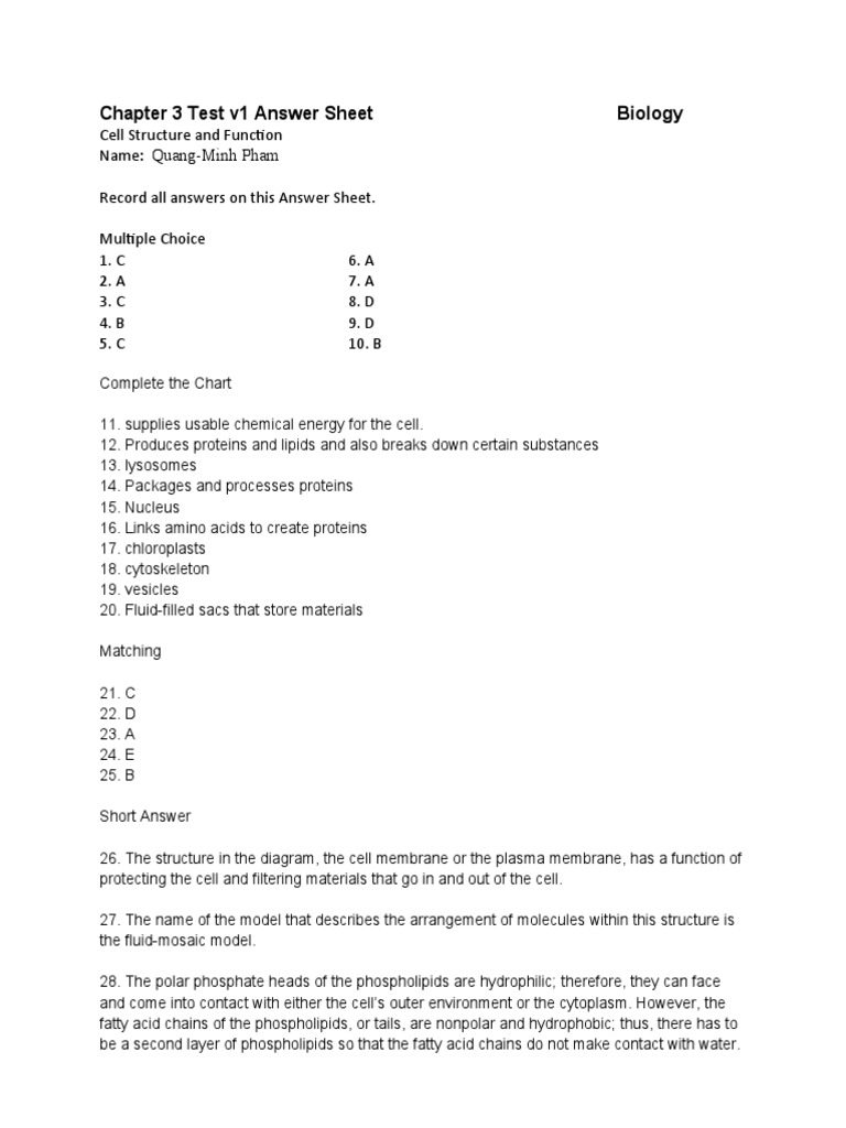 Quang-Minh Pham - Chapter 3 Test v1 Answer Sheet | PDF