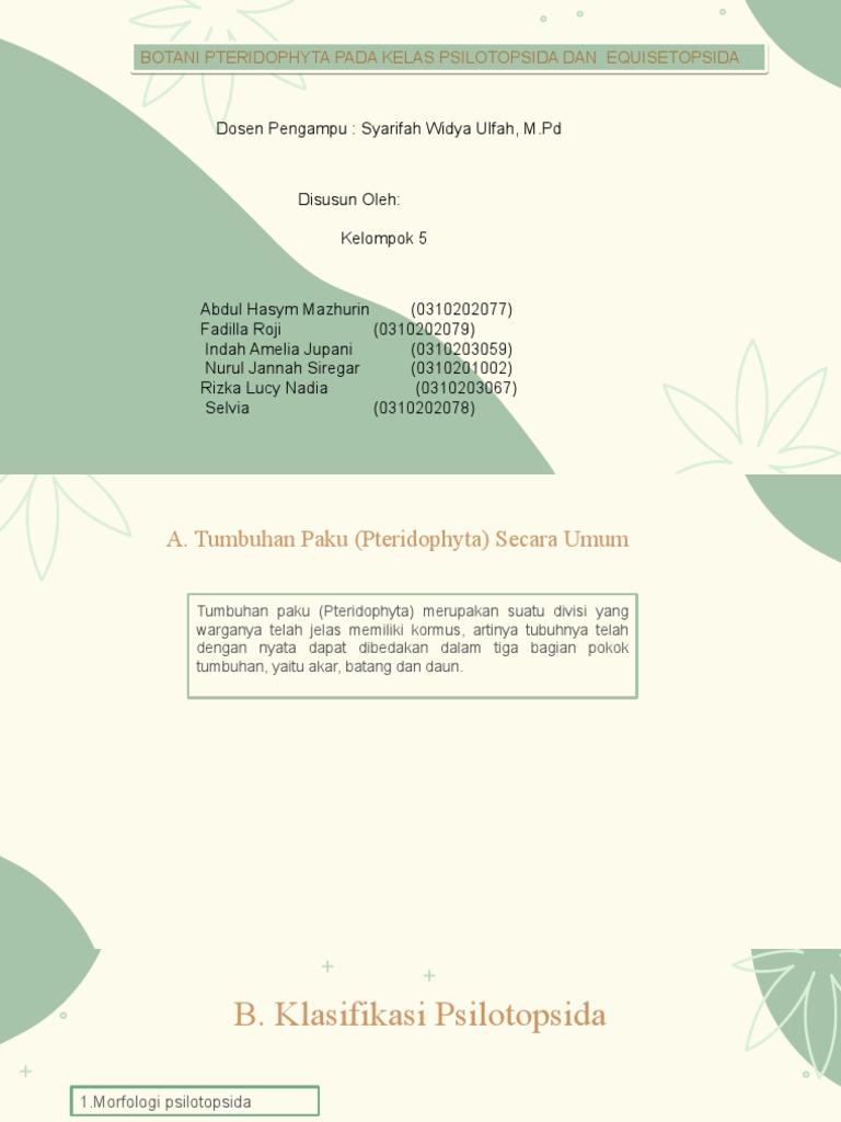 Kel 5 Botani Pteridophyta Pada Kelas Psilotopsida Dan Equisetopsida | PDF