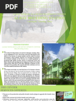 Project Proposal Swine Raising | PDF | Pig | Animals And Humans