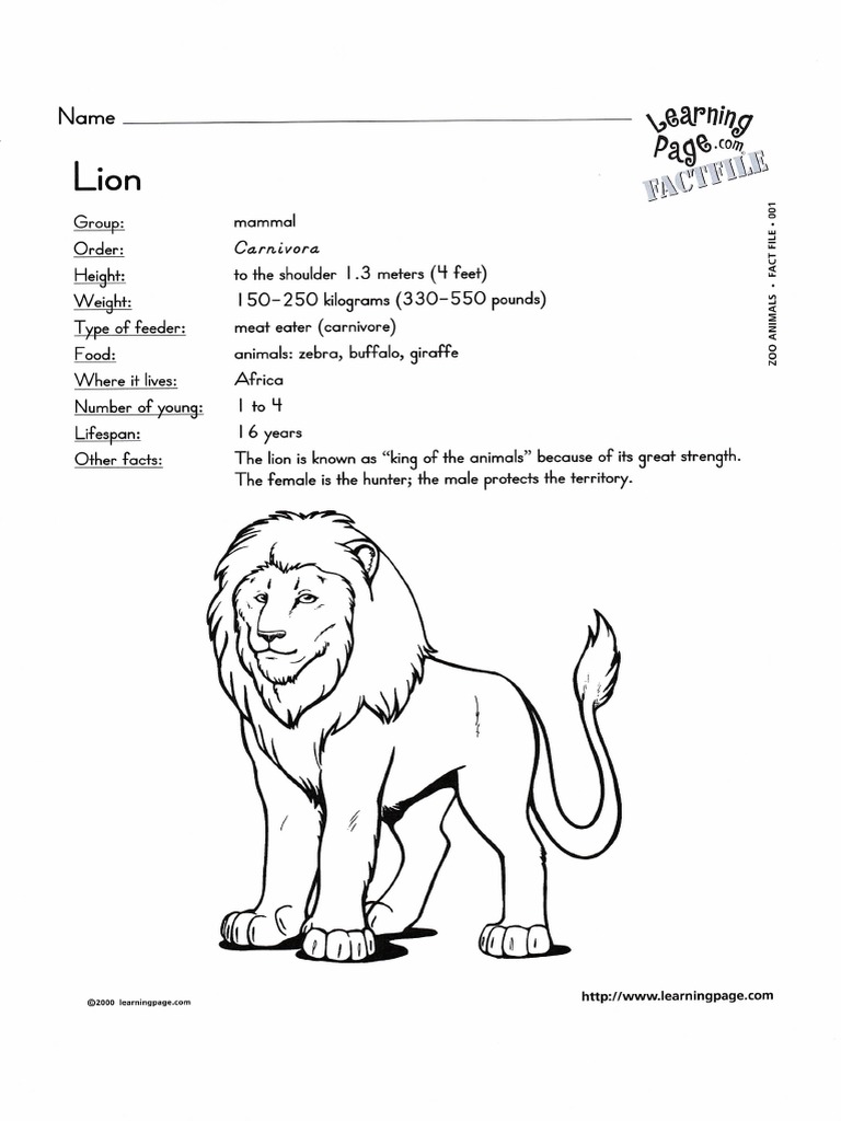 Fact File Lion | PDF