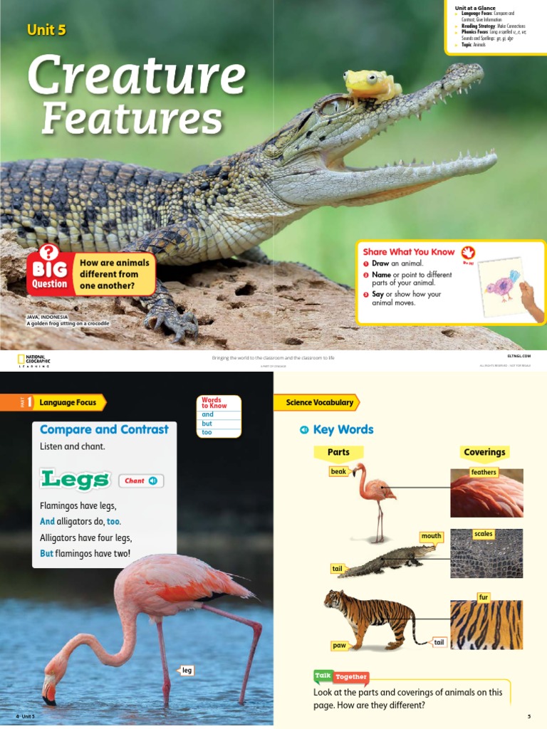 Understanding Animal Differences | PDF | Everglades | Florida