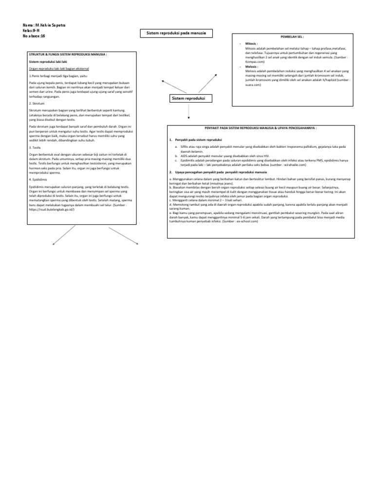 IPA Membuat Peta Konsep Bab 1 | PDF
