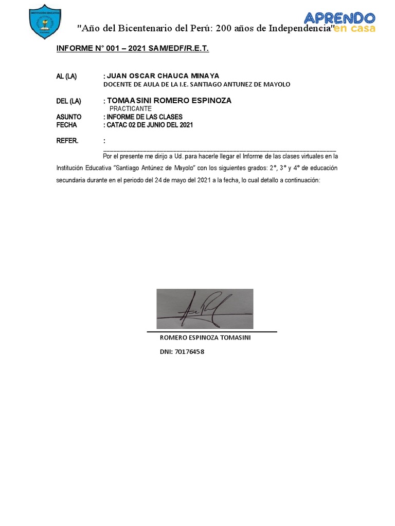 Modelo de Informe | PDF