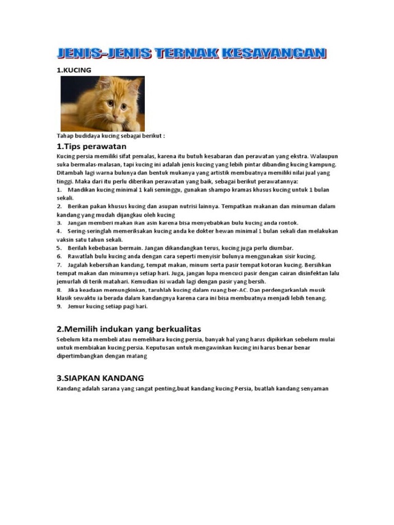 Jenis-Jenis Kucing | PDF