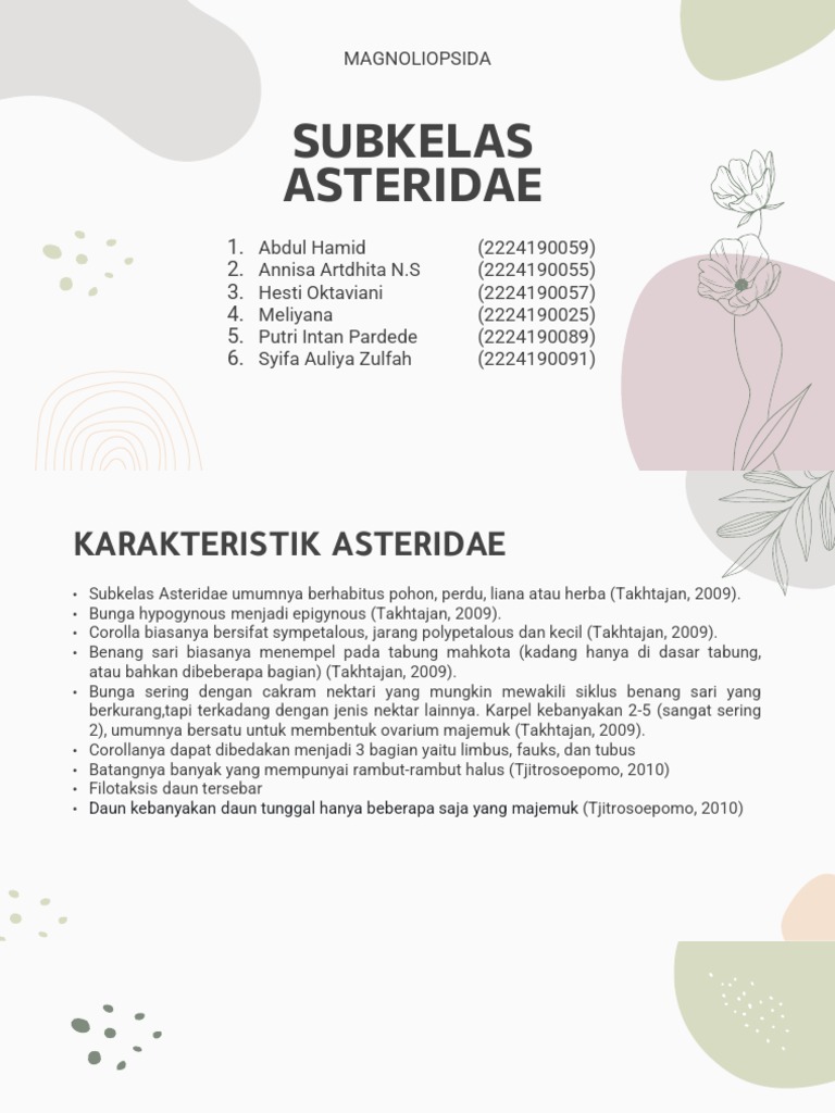 ASTERIDAE | PDF | Griya & Taman