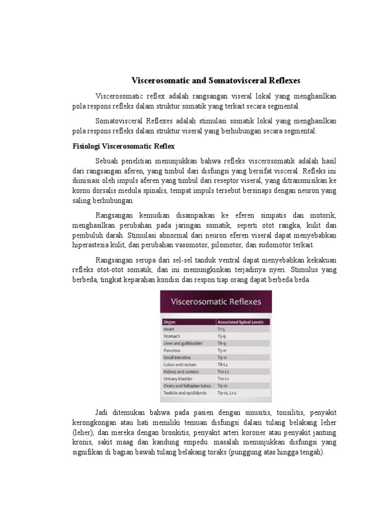 Viscerosomatic and Somatovisceral Reflexes Resume | PDF
