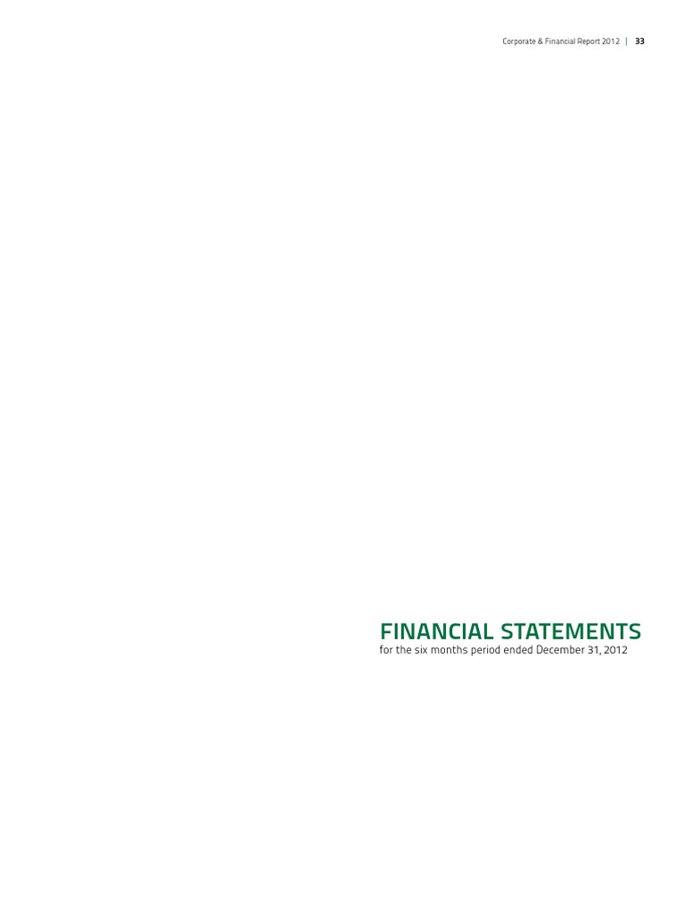 Financial Statements of The Company | PDF | International Financial ...