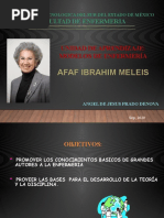 Modelos y Teorías de Enfermería - Lydia Hall | PDF | Enfermería | Medicina