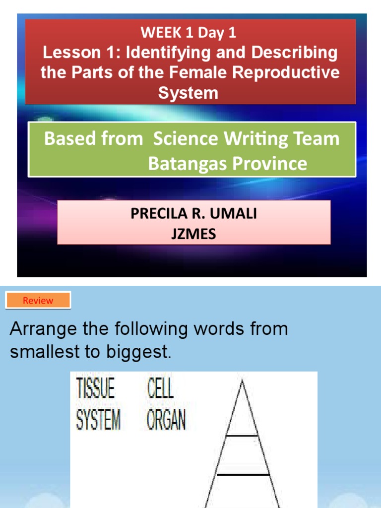 Based From Science Writing Team Batangas Province | PDF | Reproductive ...