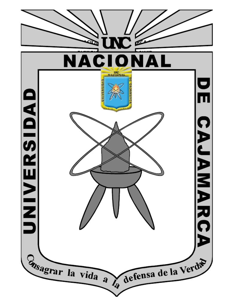 PCE - PCI Neumonia - SDR | PDF | Enfermería | Fiebre