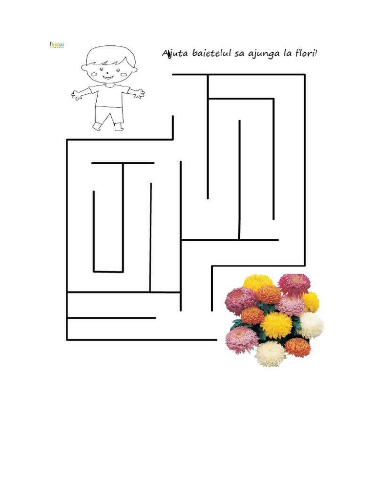 Labirint Flori | PDF