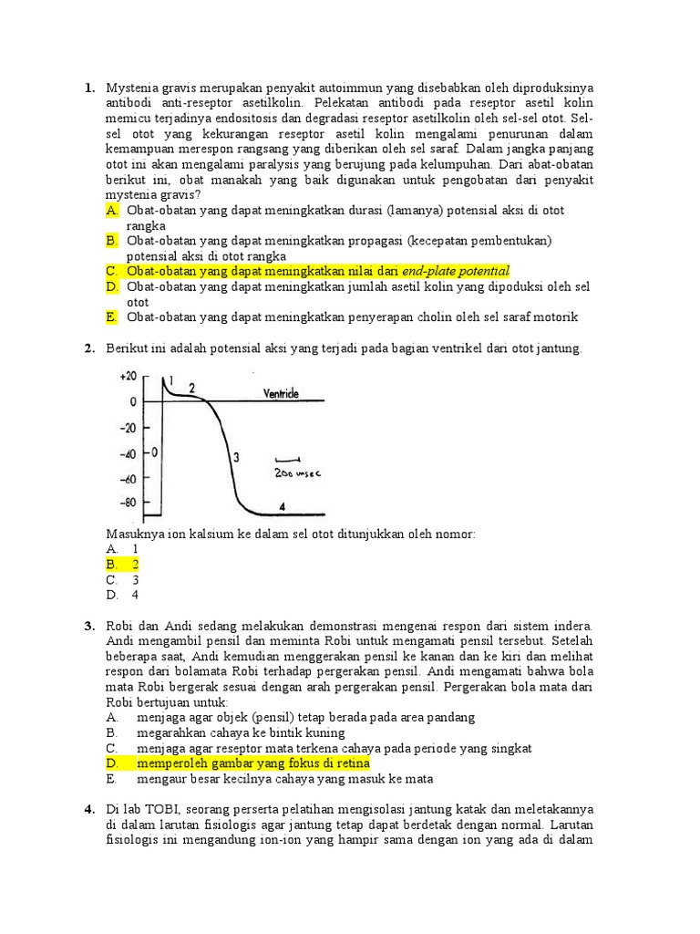 Soal Anfiswan Arta 2 - Edited | PDF
