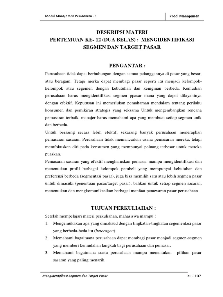 Identifikasi Segmen Pasar dan Strategi | PDF | Karier & Perkembangan ...