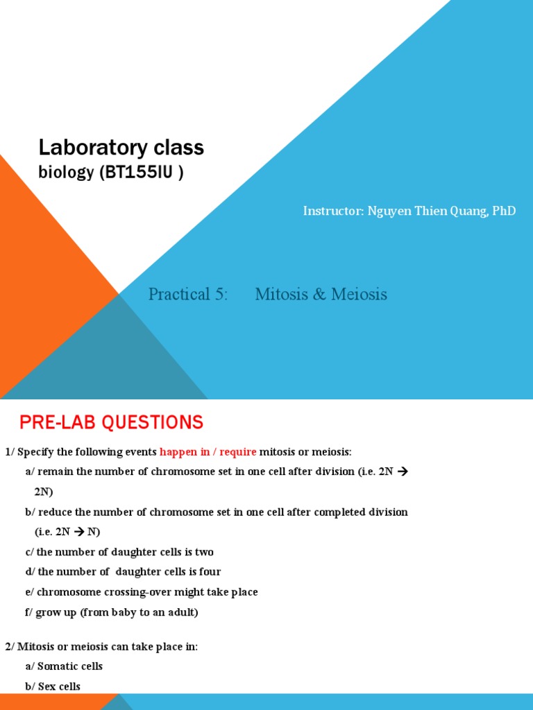 Biology Slides-2021-Practical 5 | PDF | Mitosis | Meiosis