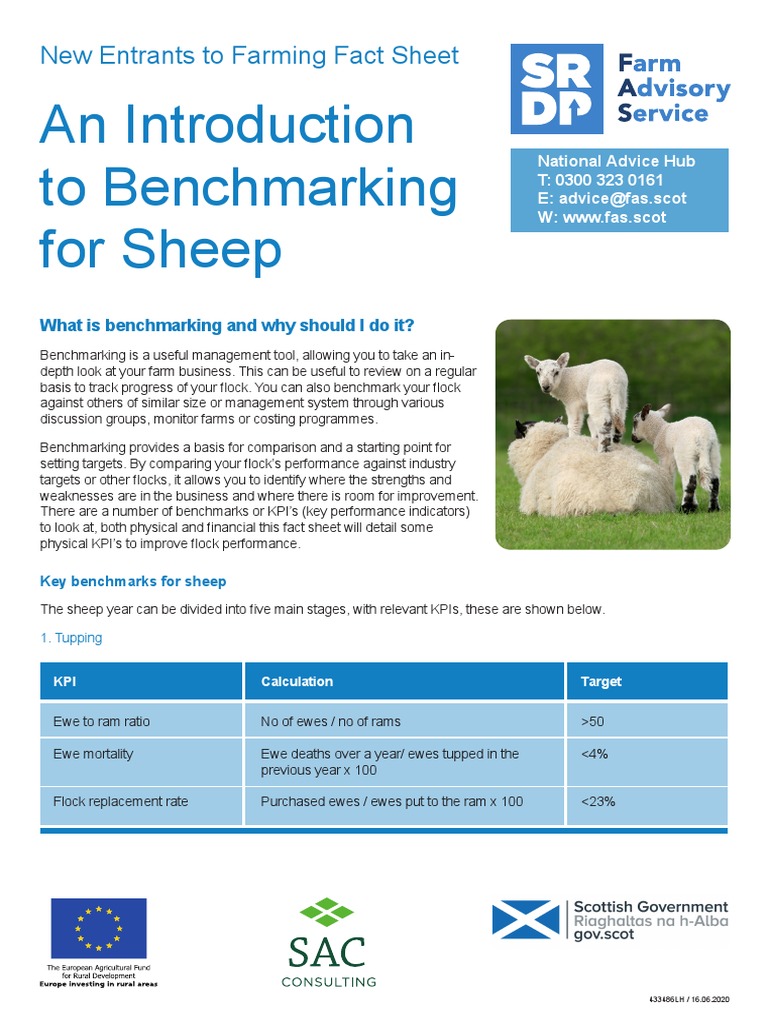 FAS Benchmarking For Sheep Leaflet | PDF | Sheep | Performance Indicator