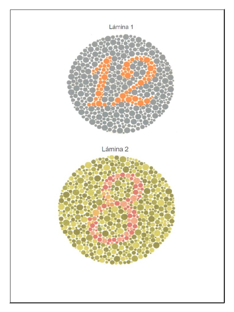 Test de ISHIHARA | PDF