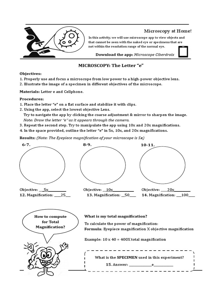 MICROSCOPY: The Letter "E" | PDF | Microscope | Glass Applications