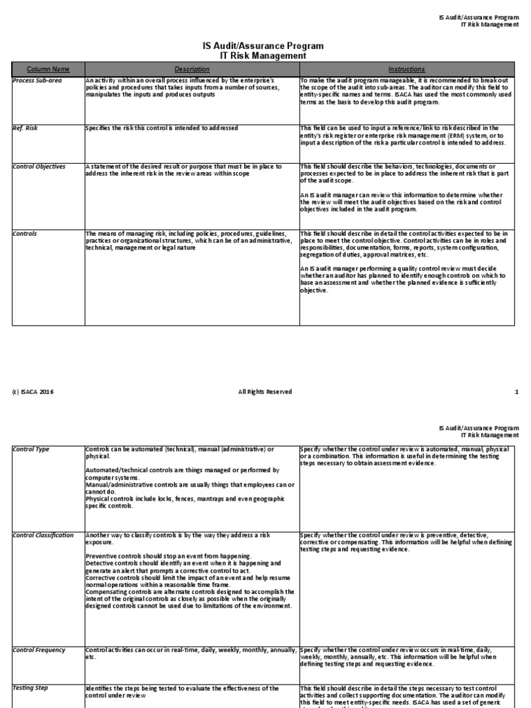Assessing IT Risk Management Controls: An Audit Program | PDF | Risk ...