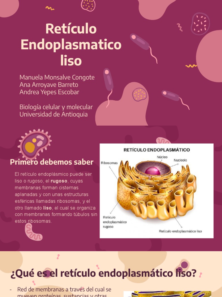 Retículo Endo. Liso | PDF | Retículo endoplásmico | Biofísica