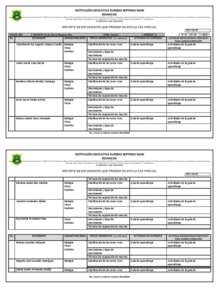 Formato Informe Parcial 2021 | PDF | Educación primaria | Educación de ...