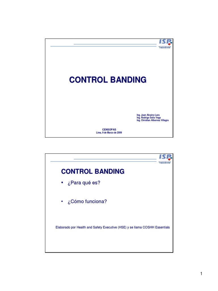 Control Banding | PDF | Química | Materiales