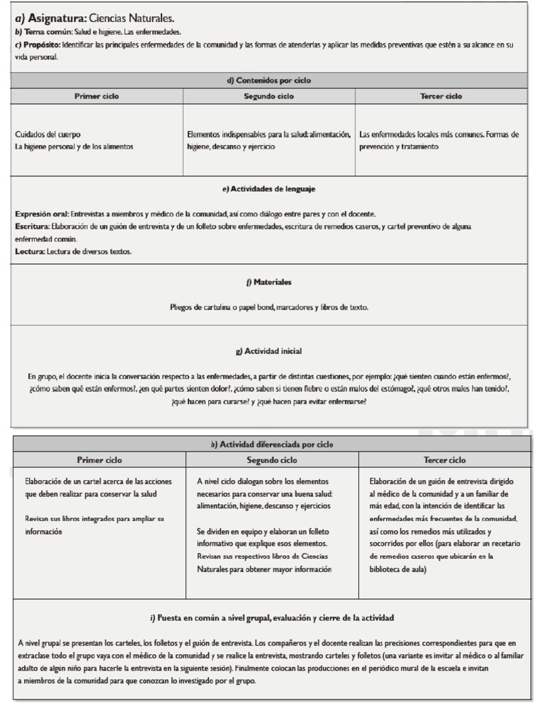 Ejemplo de Planeación Multigrado | PDF