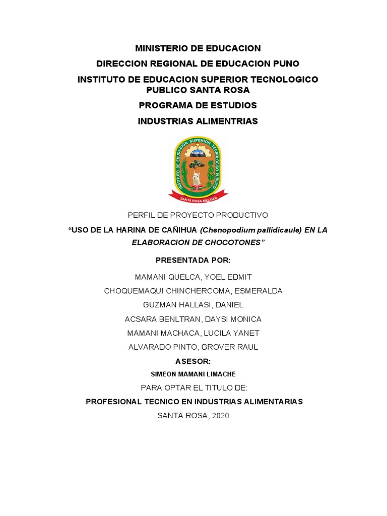 Elaboracion de Chocoton (Oficial) | PDF | Cereales | Panes