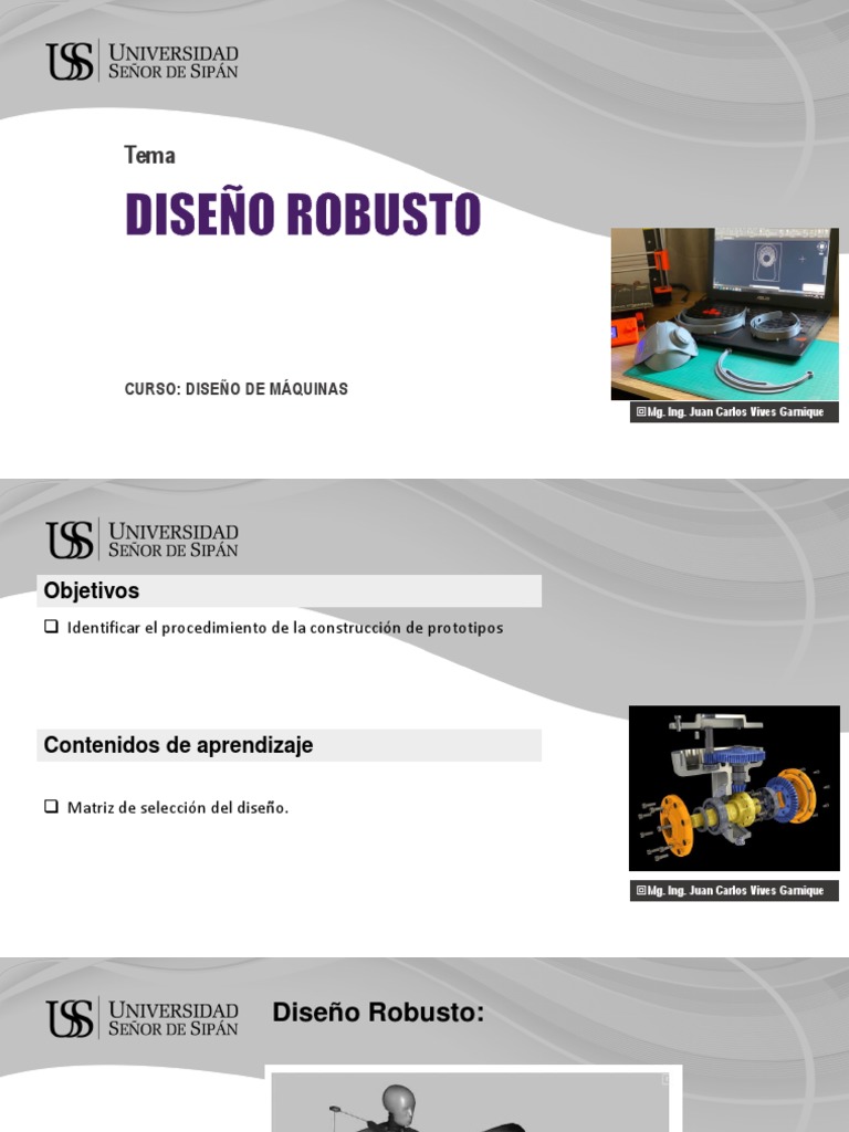 Tema 8 Diseño Robusto | PDF