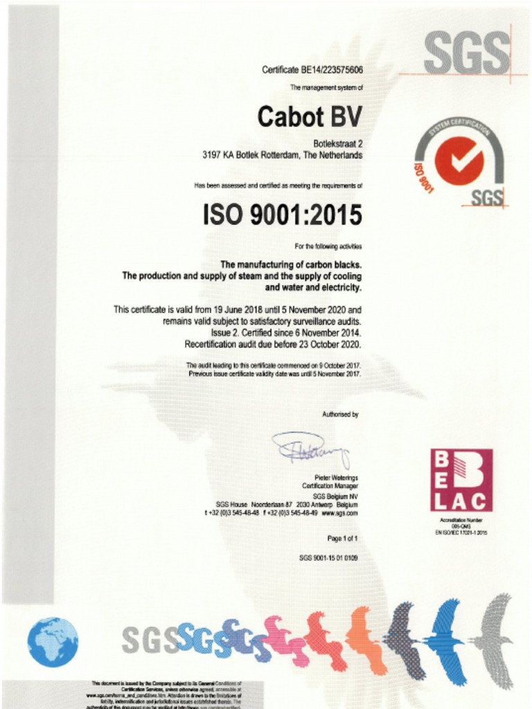 ISO 9001 2015 Certificate CaBot | PDF