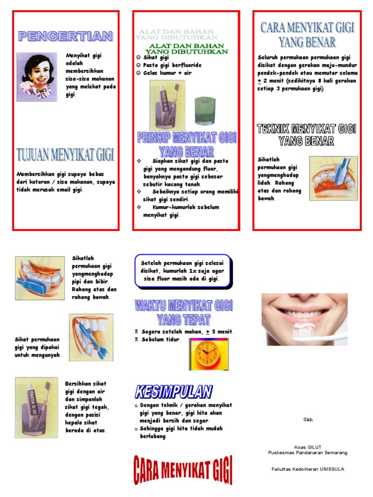 Panduan Menyikat Gigi yang Benar | PDF