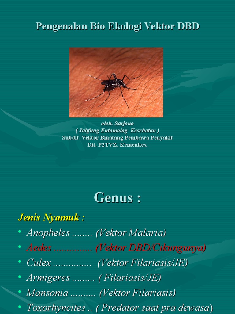 Vektor DBD-DKI-2019 | PDF