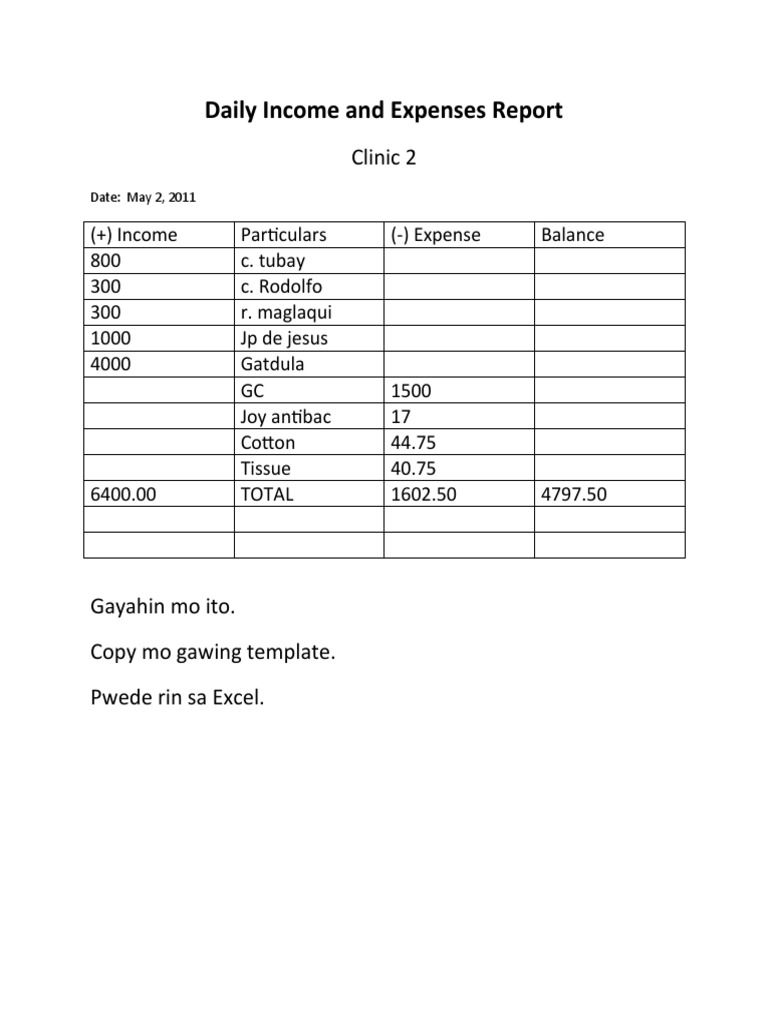 Daily Income and Expenses Template | PDF | Science & Mathematics